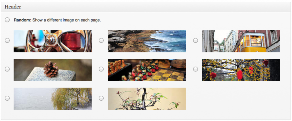 WP Display Header